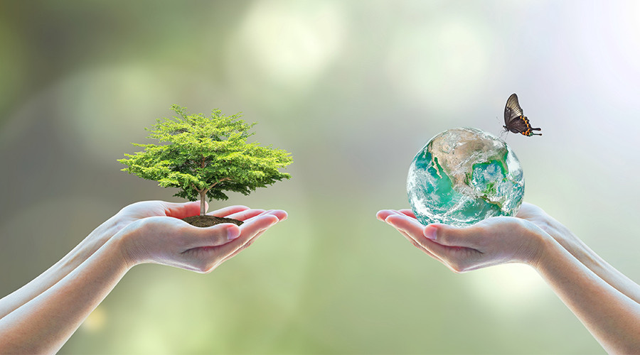 ENVIRONMENTAL REFORMS AND HEALTH | Health & Nutrition - MAG THE WEEKLY