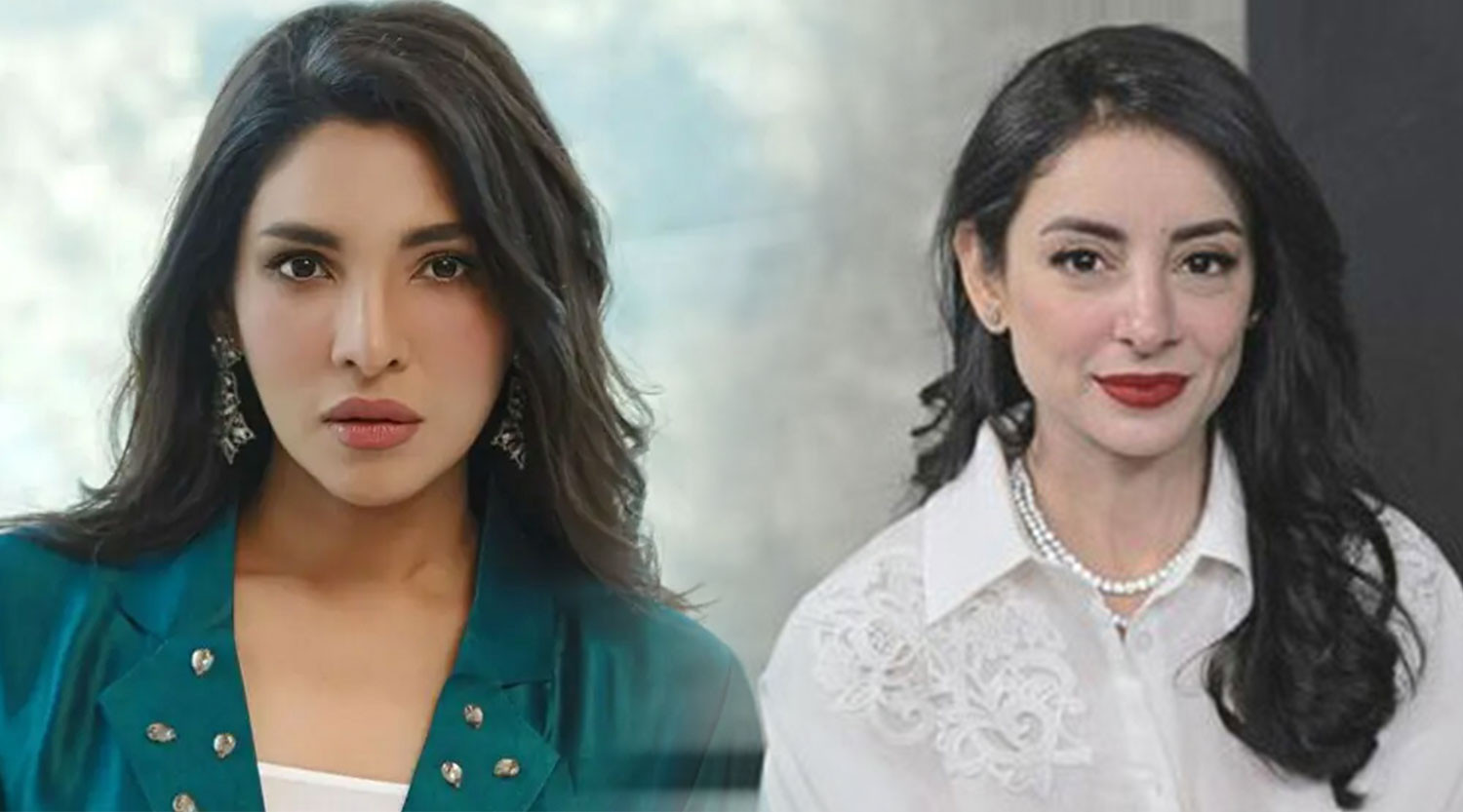 Leave the blame game for later: Sarwat Gilani and Zhalay Sarhadi urge ...